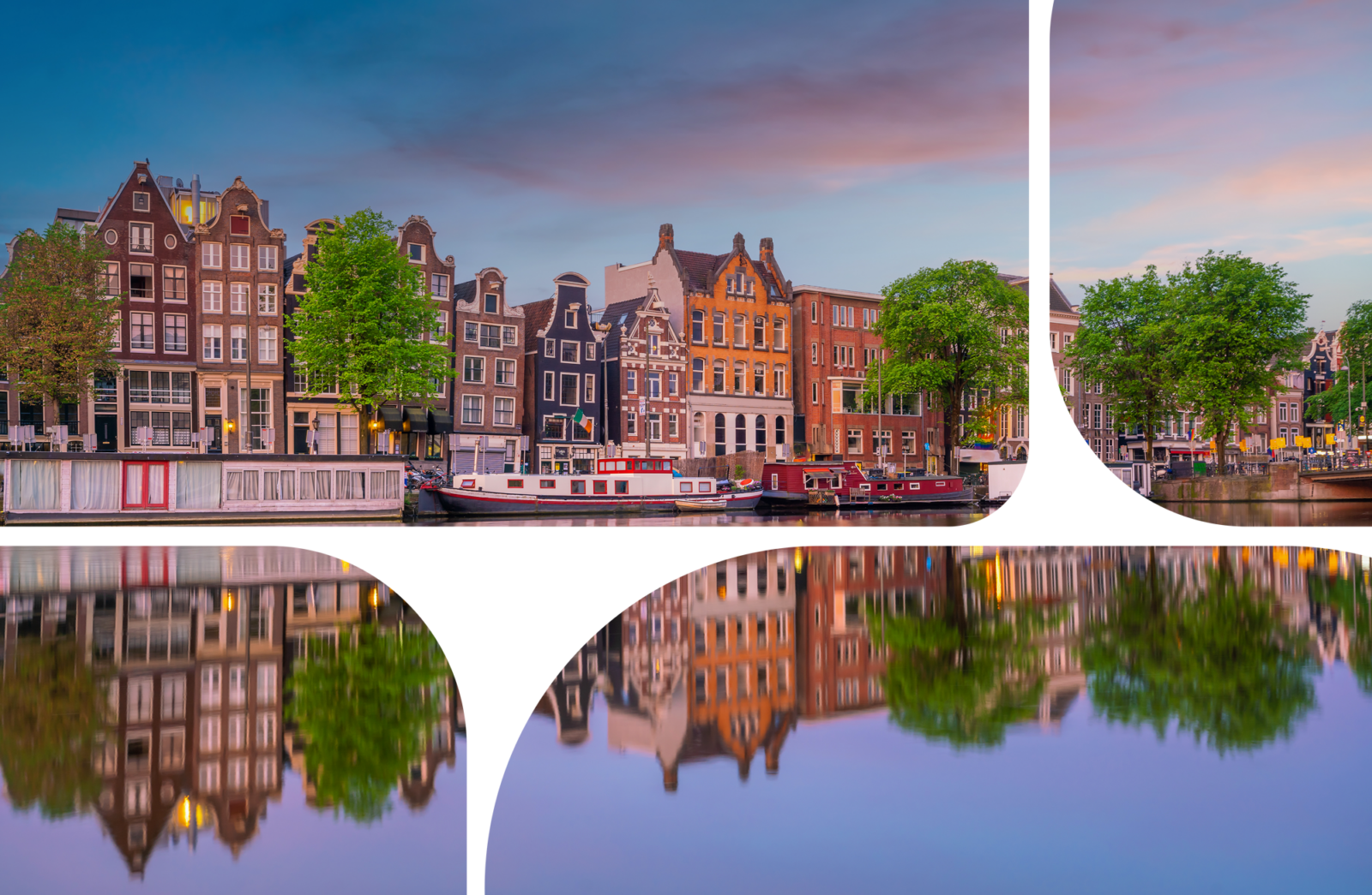 Build your first team in the Netherlands